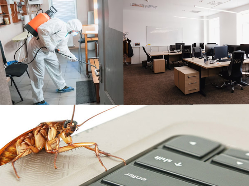 Commercials Services – Pest-X